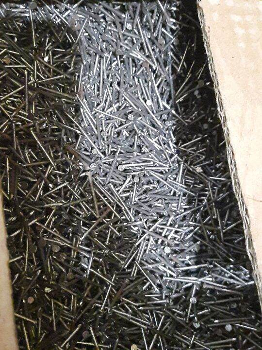 Paku 3/4" / Paku Triplek | Lazada Indonesia