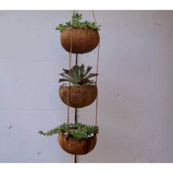 Pot Susun Batok Kelapa | Lazada Indonesia