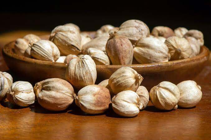 kapulaga putih 50gr / kapol 50gr / rempah / rempah jsr / JSR ASLI ...