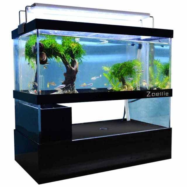 Akuarium satu set komplit 150 cm x 80 cm x 80 cm | Lazada Indonesia