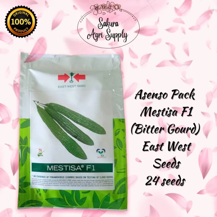Mestisa F1 Ampalaya Seeds Asenso pack by EAST WEST | Lazada PH