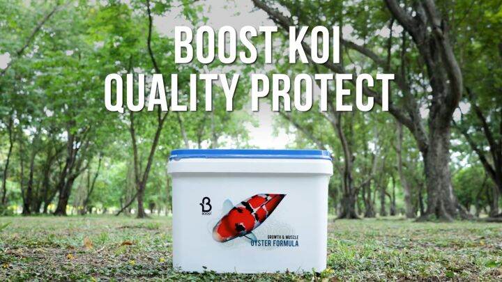📦 🍯สูตรน้ำผึ้ง แถมถุงเล็ก 🦪สูตรหอย แถมถัง] Boost Koi อาหารปลาคาร์ฟ🦪สูตร ...