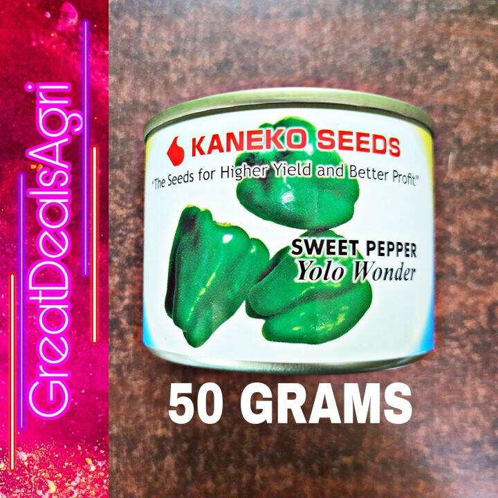 YOLO WONDER OPV SWEET BELL PEPPER SEEDS (50 GRAMS) KANEKO SEEDS | Lazada PH
