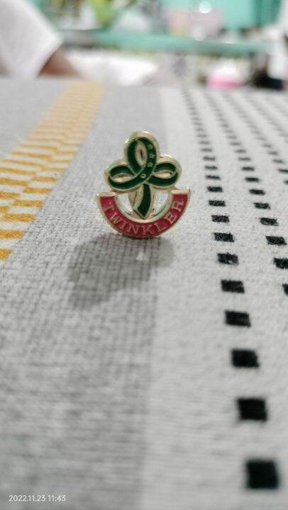 TWINKLER PIN | Lazada PH