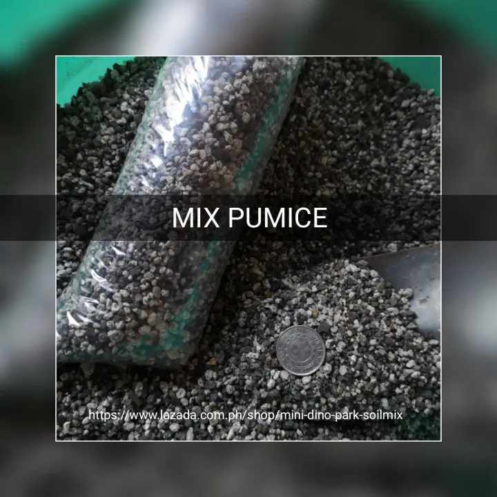Mix Pumice 500grams/1kilo | Lazada PH