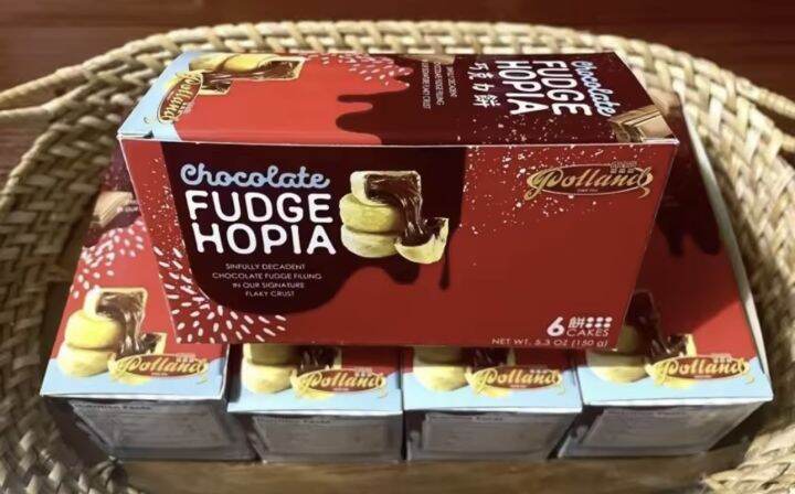 Poland Choco Fudge Hopia | Lazada PH