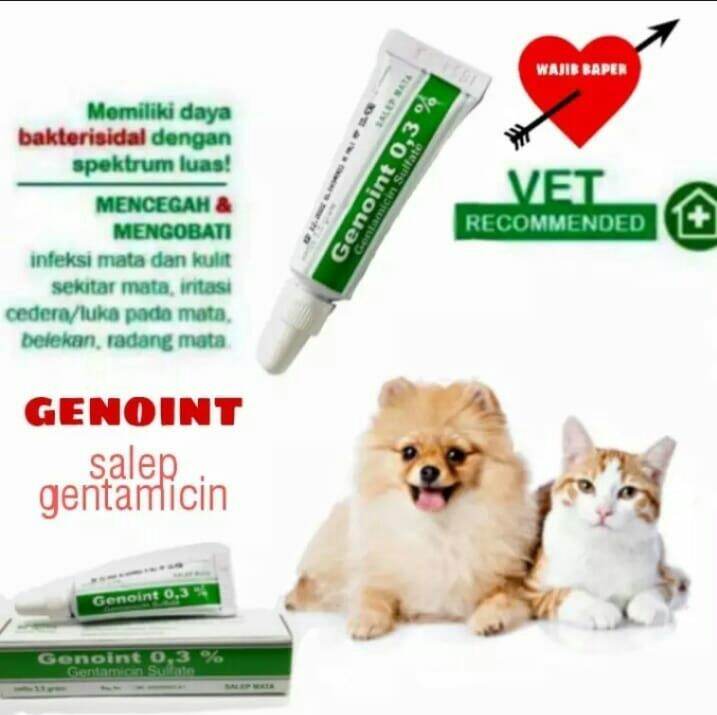 Salep Genoint mata kucing 0.3 % / Obat Salep mata Hewan | Lazada Indonesia