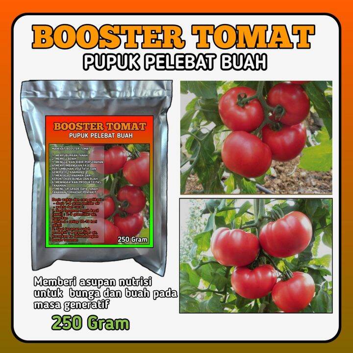 Booster tomat pupuk pelebat buah nutrisi untuk bunga dan buah anti rontok kemasan 250 gram ...