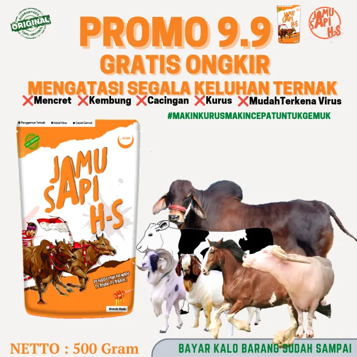 Jamu ternak hs vitamin penambah makan sapi kambing domba kerbau kuda ... Jamu ternak hs vitamin penambah makan sapi kambing domba kerbau kuda ...