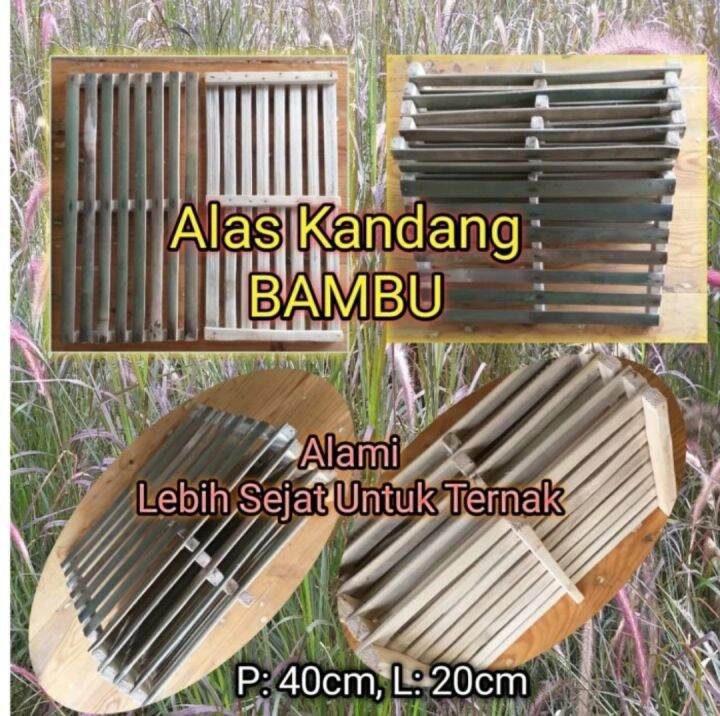 Alas Kandang Bambu Uk 40x20cm | Lazada Indonesia