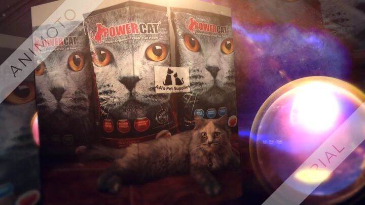 POWER CAT - Repack - Dry Food | Lazada PH