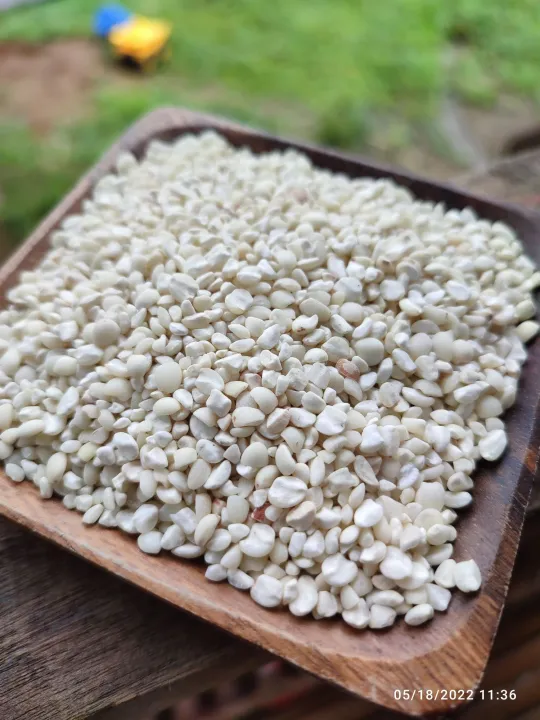 Adlai Rice 1kg l Healthy Rice from Mindanao | Lazada PH