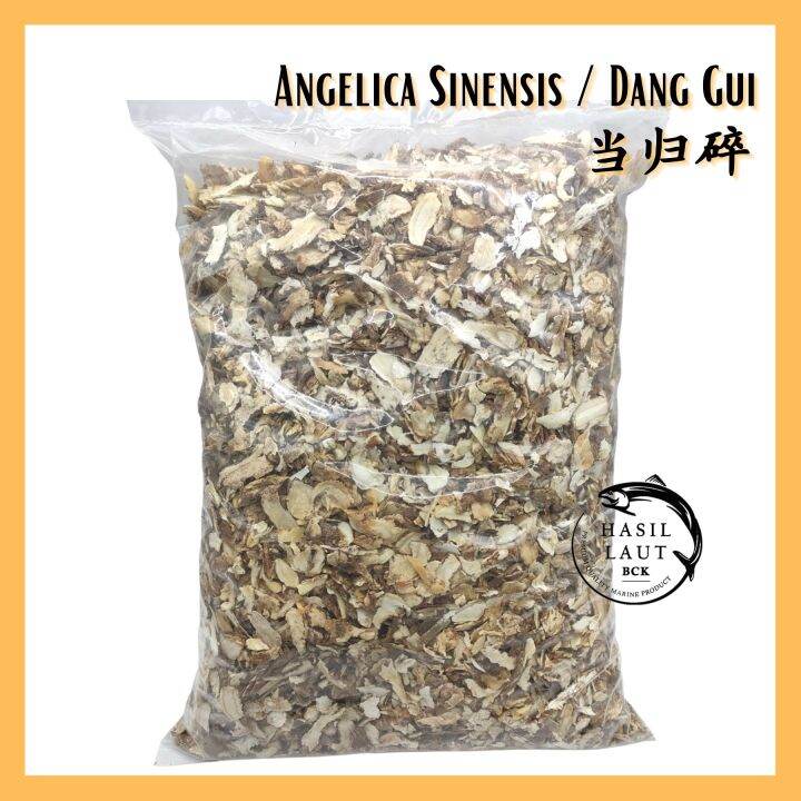 当归碎 Dang Gui/Angelica Sinensis (1KG) | Lazada