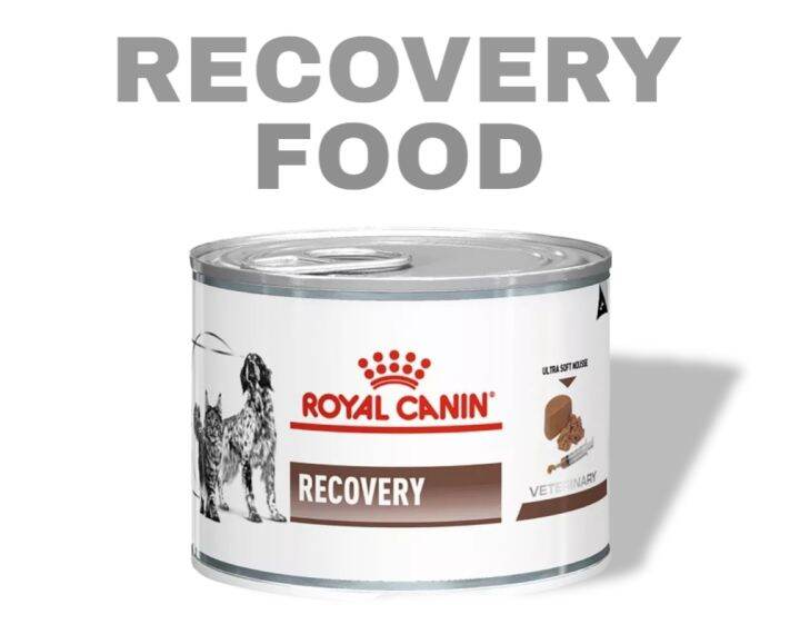 ROYAL CANIN Recovery Food Canned Wet food 195g | Lazada PH