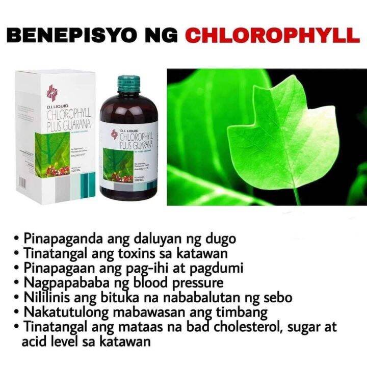 CHLOROPHYLL (500ml) | Lazada PH