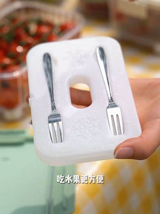 Portable PP Ice Storage Fresh Fruit Box Outing Cooler Picnic Box Kotak ...