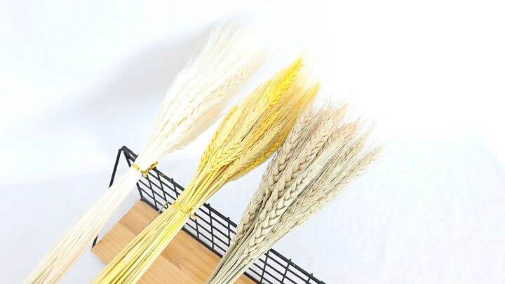 Bunga Plastik Padi Daun Padi Plastik Padi Palsu Artificial Daun ...