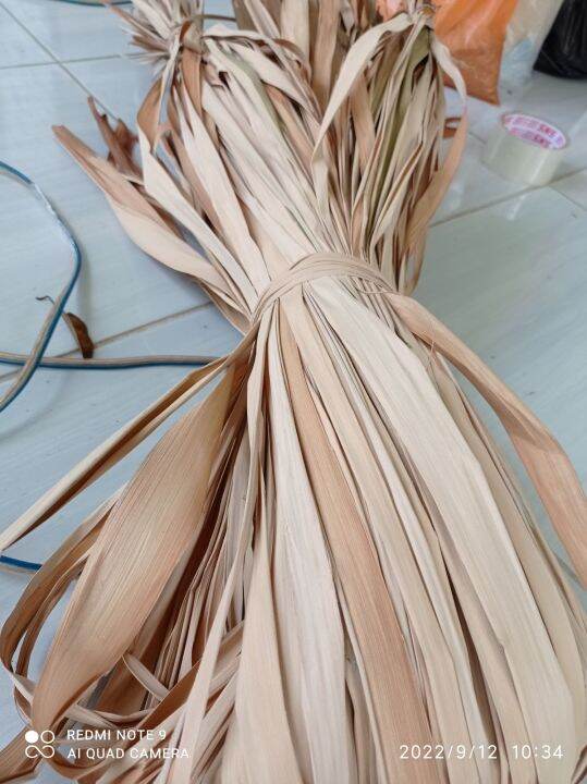 Daun aren muda /Dungkaung / 50 lembar | Lazada Indonesia