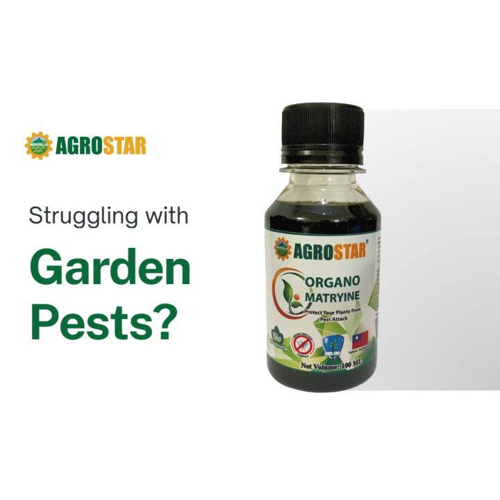 AGROSTAR Organo Matryine - AGROSTAR - Effective Organic Insecticide ...
