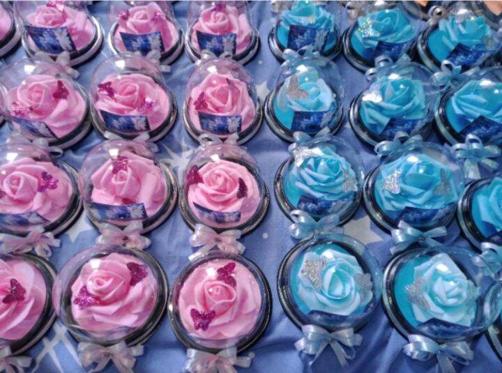 Flower Dome Souvenir | Lazada PH