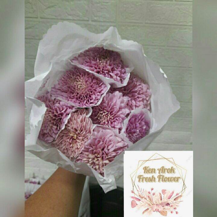 BUNGA GOMPIE | Lazada Indonesia