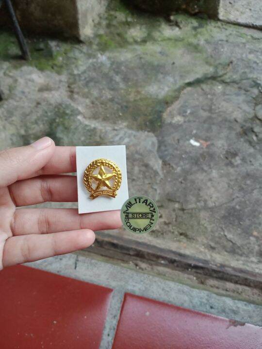 Atribut pin lencana veteran ukuran kecil | Lazada Indonesia