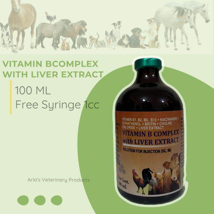 VITAMIN BCOMPLEX WITH LIVER EXTRACT 100ML Free syringe | Lazada PH
