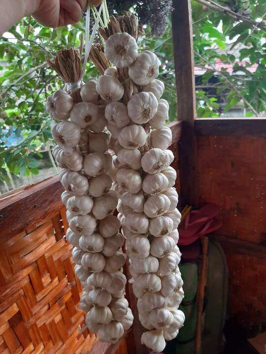 1 kilo braided native bawang | Lazada PH