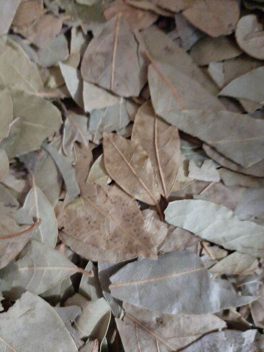 Crack Bayleaves pang repack (1 kilo) | Lazada PH