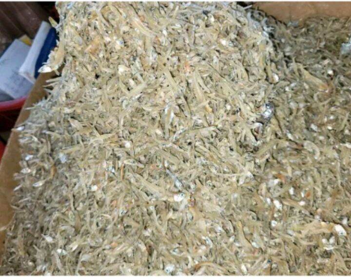 Dried dilis tabios fresh from Bicol | Lazada PH