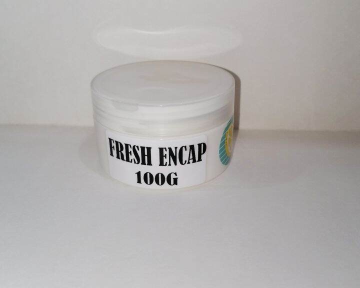 FRESH ENCAP 100G/FABCON MAKING | Lazada PH