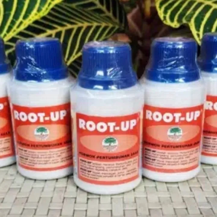 Perangsang akar tanaman ROOT UP 100 gram mempercepat pertumbuhan akar ...
