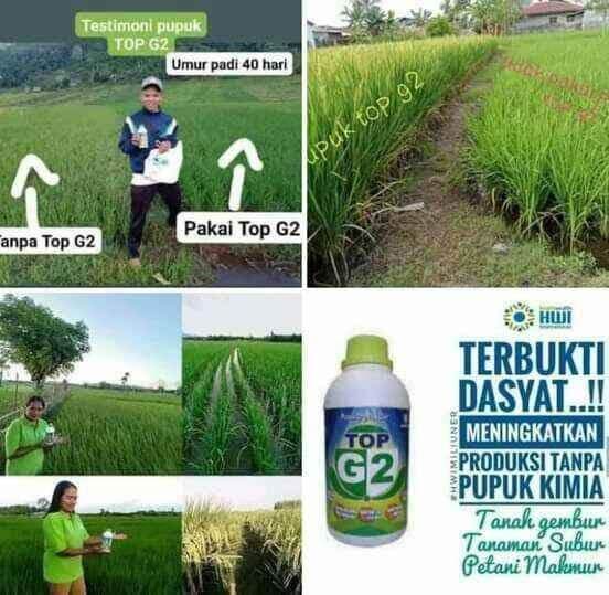 PuPuk T'o'p G"2 (Cocok untuk tanaman dan hewan ternak) | Lazada Indonesia