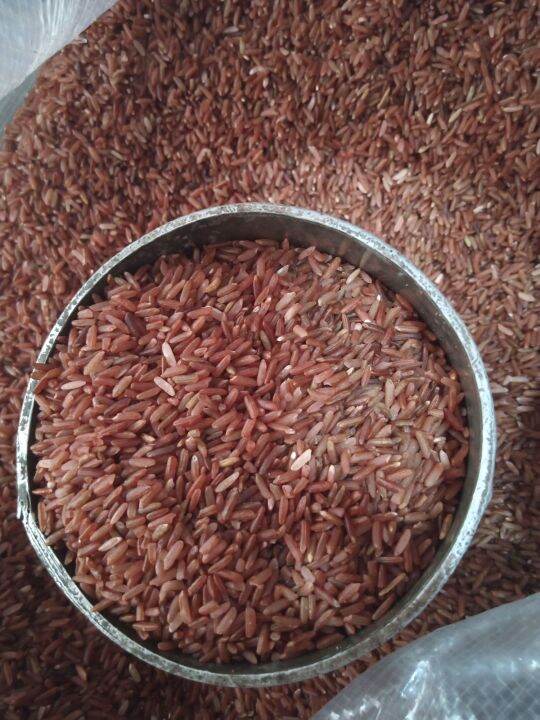 BERAS MERAH PREMIUM 5KG | Lazada Indonesia