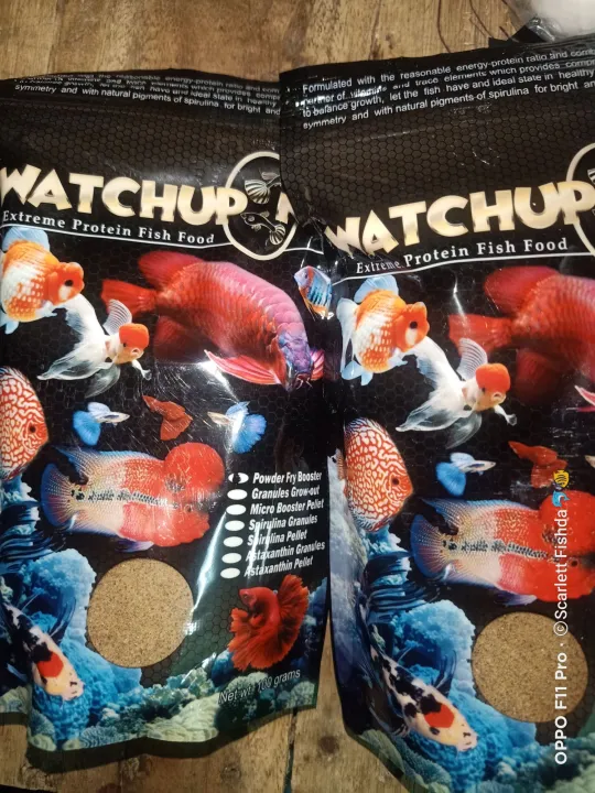 sf Watchupong Poweder fry booster 100g | Lazada PH