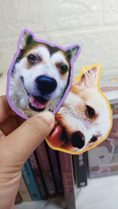 Custom Face Cut-out Ref Magnet Souvenir | gifts |minimum of 12 pcs free ...