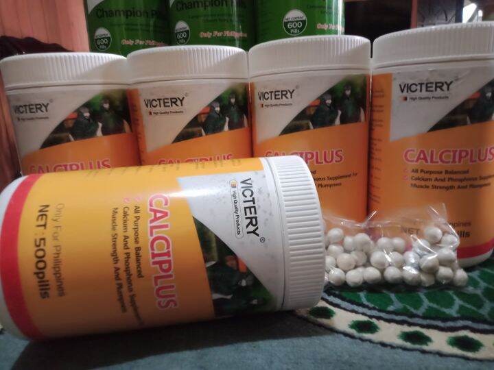 Calciplus (100 pcs) | Lazada PH