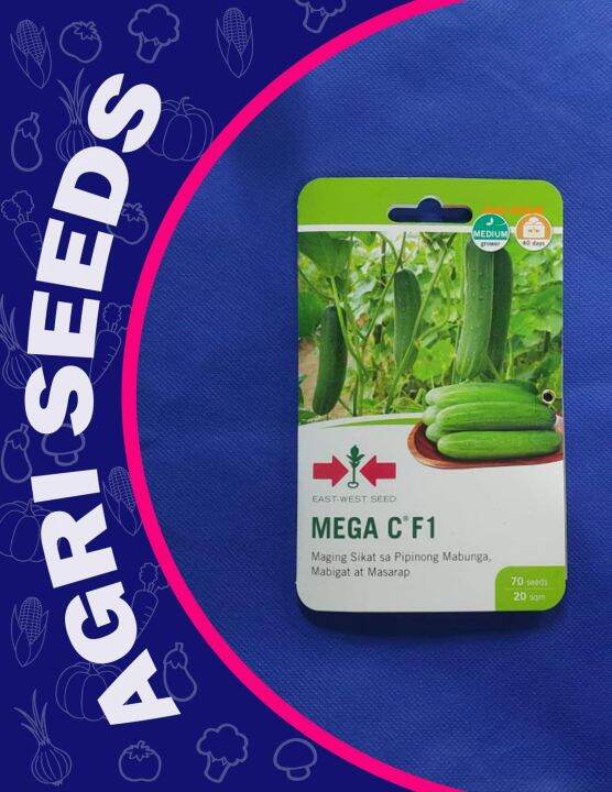 Mega C F1 (70 seeds) Hybrid Cucumber / Pipino seeds by East West Seed ...