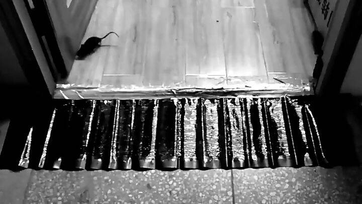 Large Mouse Glue Traps Rat Sticker Trap Mat Strong Glue Adhesion Mouse ...