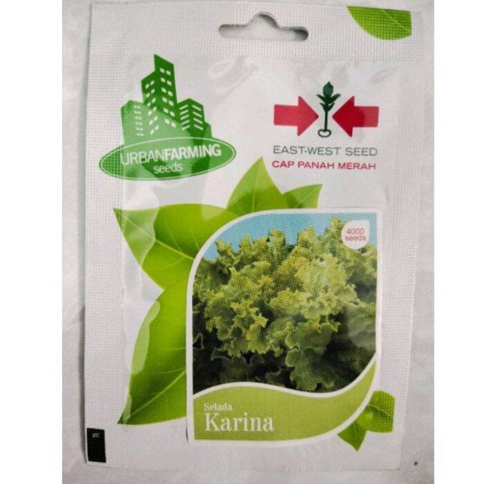 Benih Selada Karina PT East West Cap Panah Merah 2000 Seed | Lazada ...