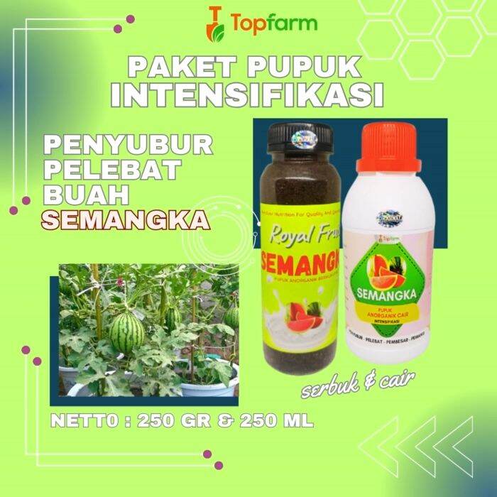 Pupuk Pemanis Buah Semangka / Pupuk Semangka Yang Ampuh / Pupuk ... Pupuk Pemanis Buah Semangka / Pupuk Semangka Yang Ampuh / Pupuk ...