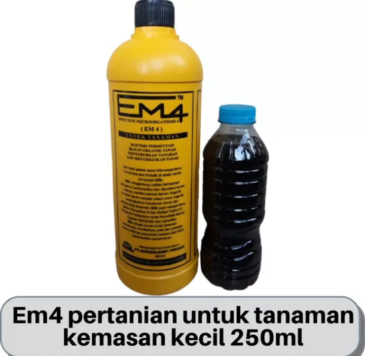 paket em4 pertanian dan molase 250ml | Lazada Indonesia