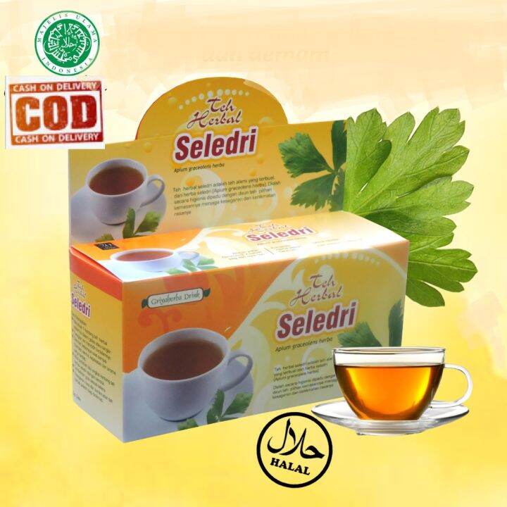 teh seledri untuk menurunkan darah tinggi / hipertensi dan kolestrol ...