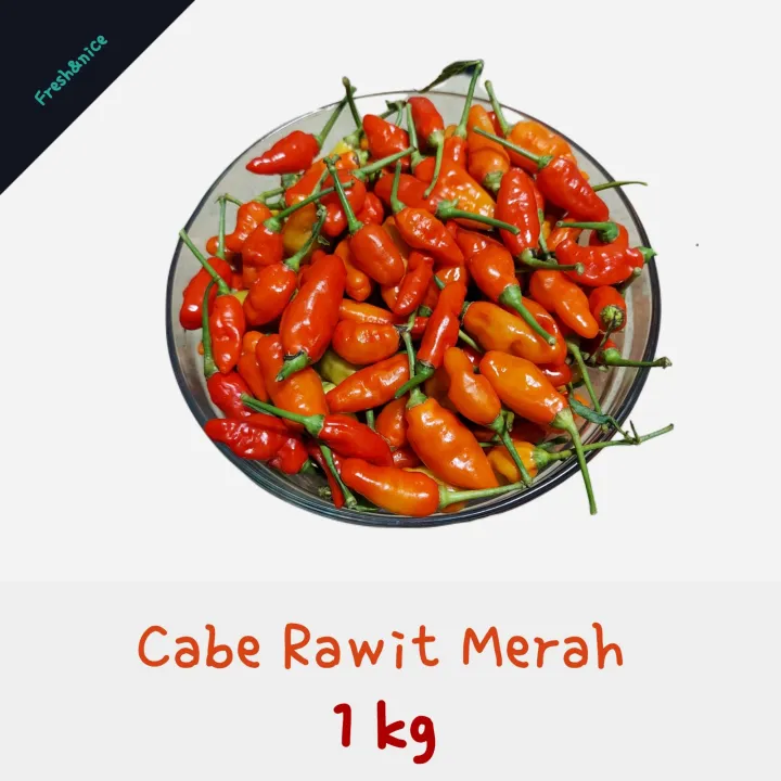 Cabe Rawit Merah 1 kg | Lazada Indonesia