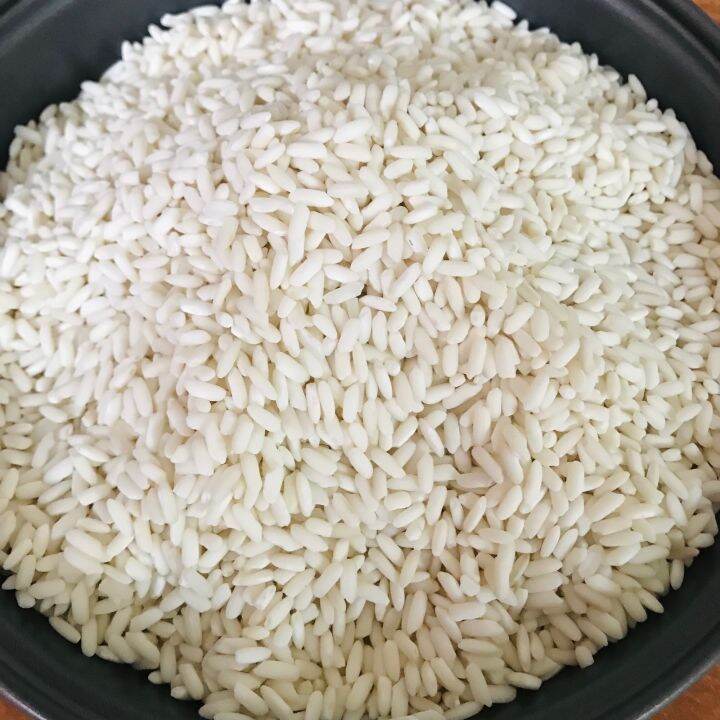 🌾🌾Malagkit Rice/Glutinous White Rice 🌾 🌾 | Lazada PH
