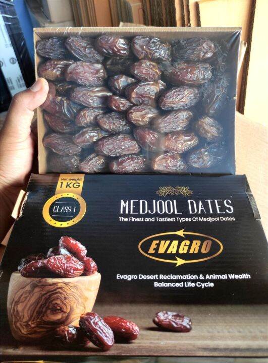 เมดจูน นำเข้าจากอียิปต์ 1 กิโลกรัม EGYPT Medjool Dates 1 Kg (CLASS 1 ...