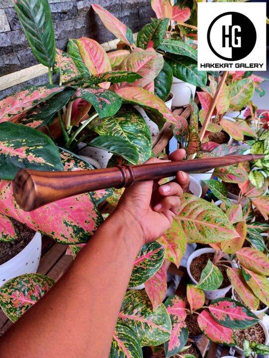 tongkat komando kayu sonokeling E144 | Lazada Indonesia