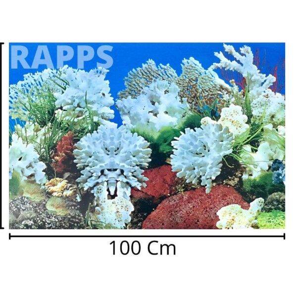 Wallpaper Gambar Aquarium ukuran 40 x 100 Cm Background Aquarium ...