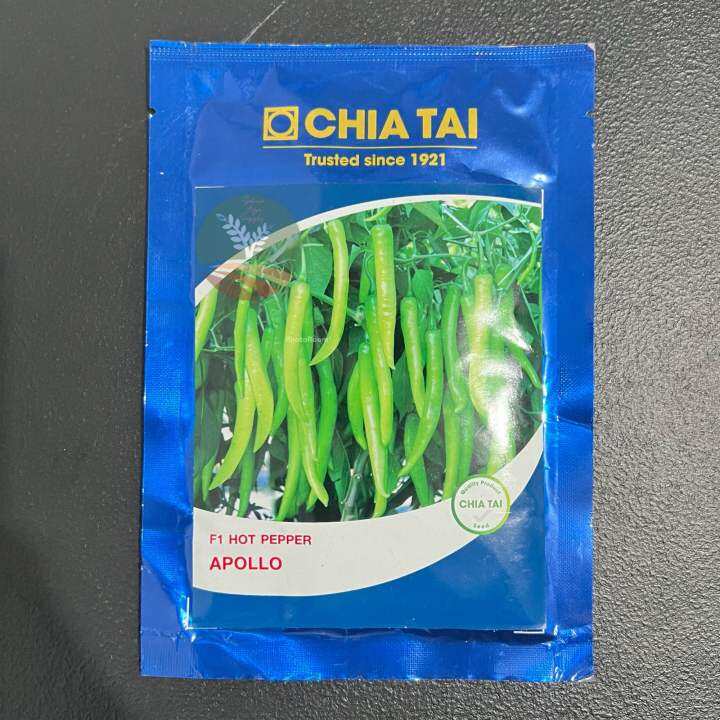 APOLLO F1 CHIA TAI SEED HYBRID PANIGANG PEPPER SILING PANG DYNAMITE ...