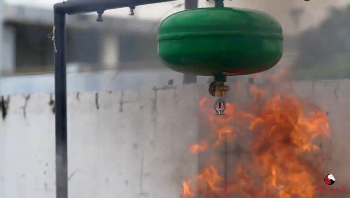 10lbs HCFC Ceiling type Fire Extinguisher | Lazada PH